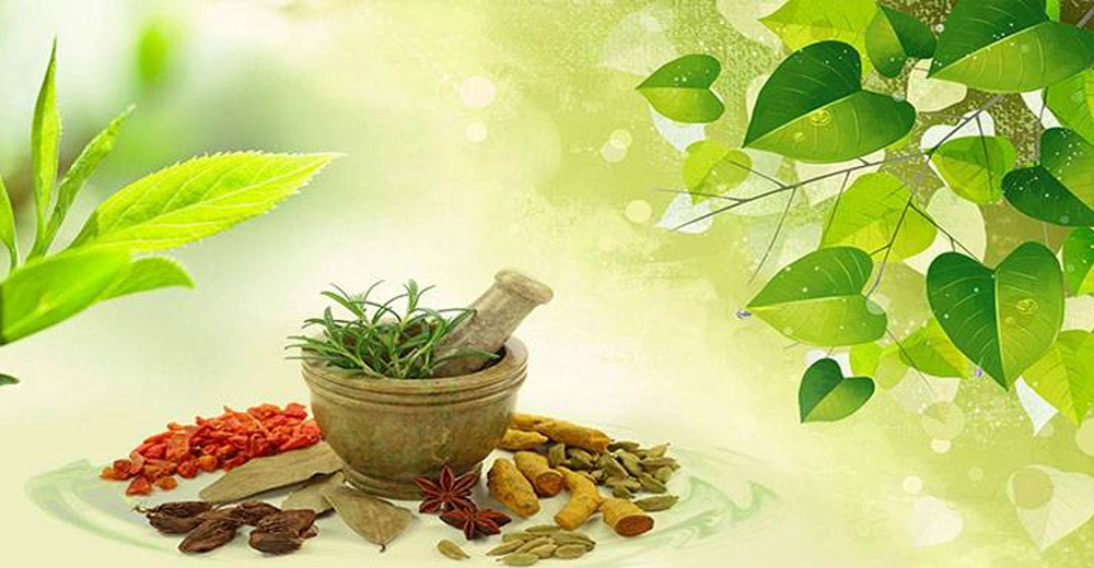 Proveda Marketing India Pvt. Ltd.